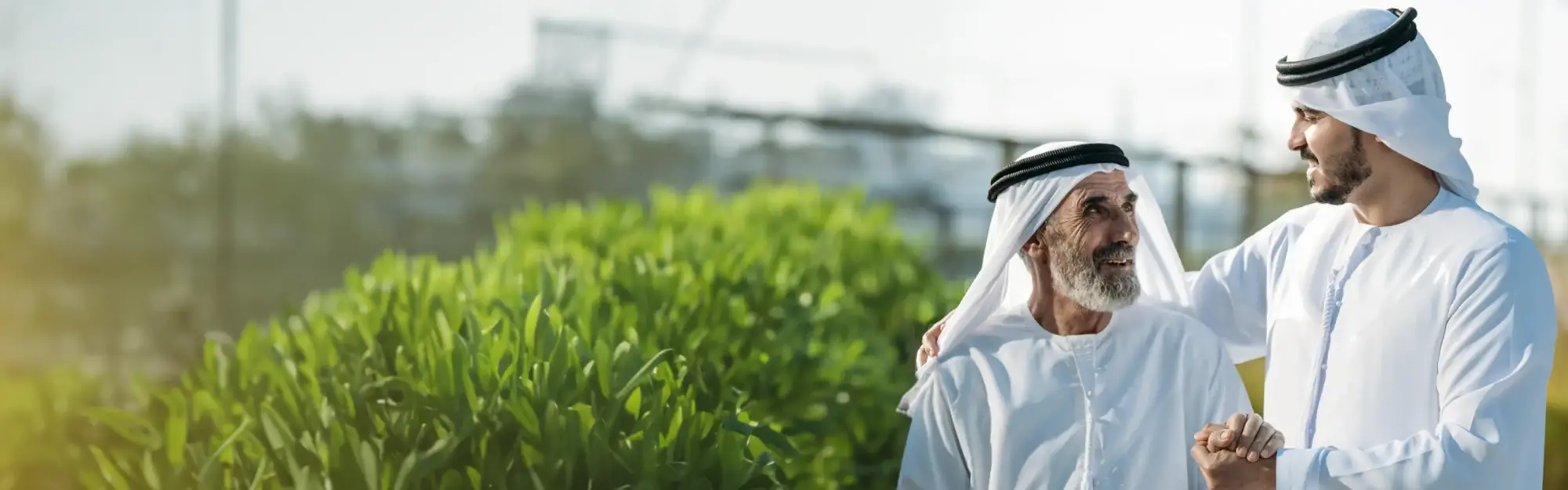 Find Your Ideal Insurance Plan | Daman