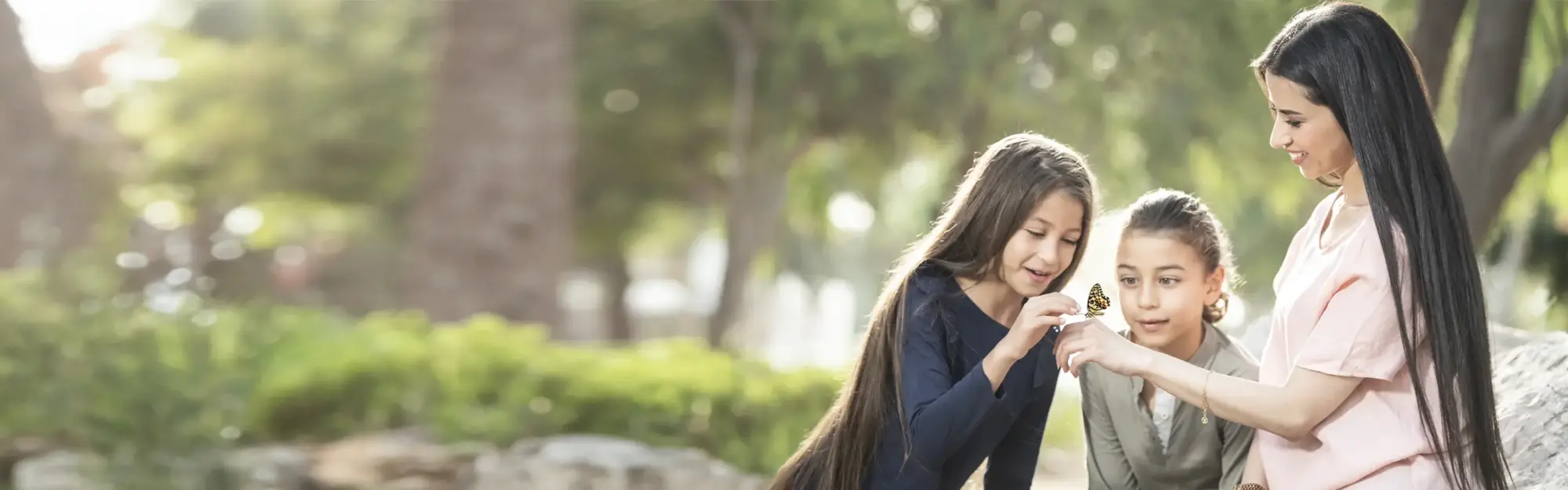 Members Services | Daman